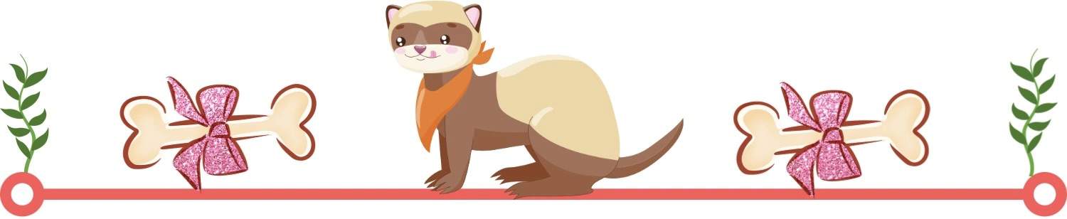 Why Do Ferrets Bite? How To Stop Your Ferret From Biting? - PetsandFins