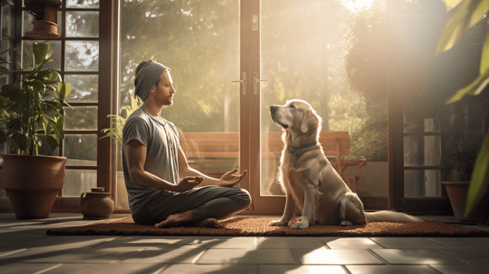 15 Tricks To Keep Your Golden Retriever Active,Alert & Happy